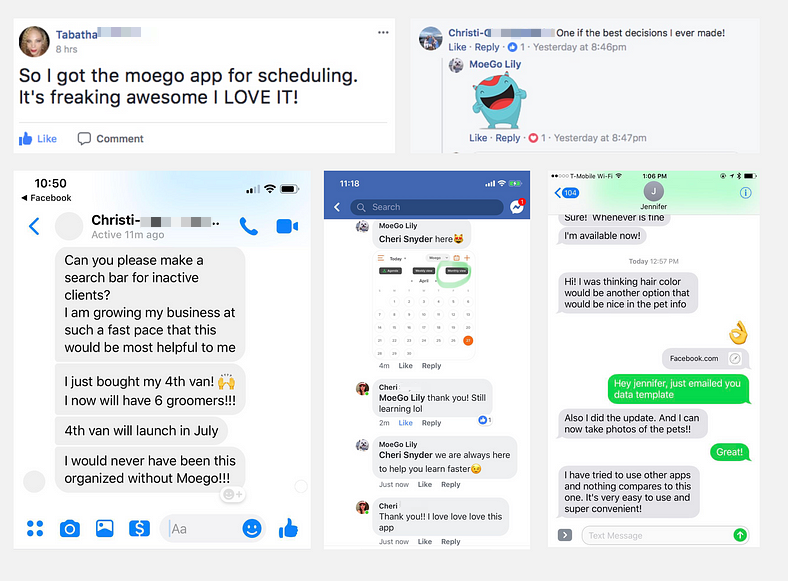 The Story of MoeGo - Pet Grooming Business Software