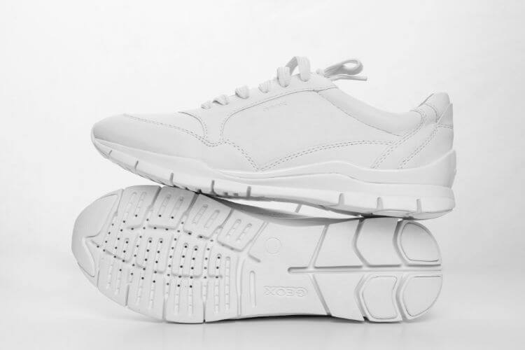 The Best Shoes for Dog Grooming (2023 Edition) - MoeGo